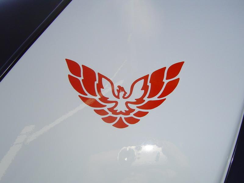 93-02 Firebird/Formula/Trans Am "A" Pillar Decals | WS6store.com
